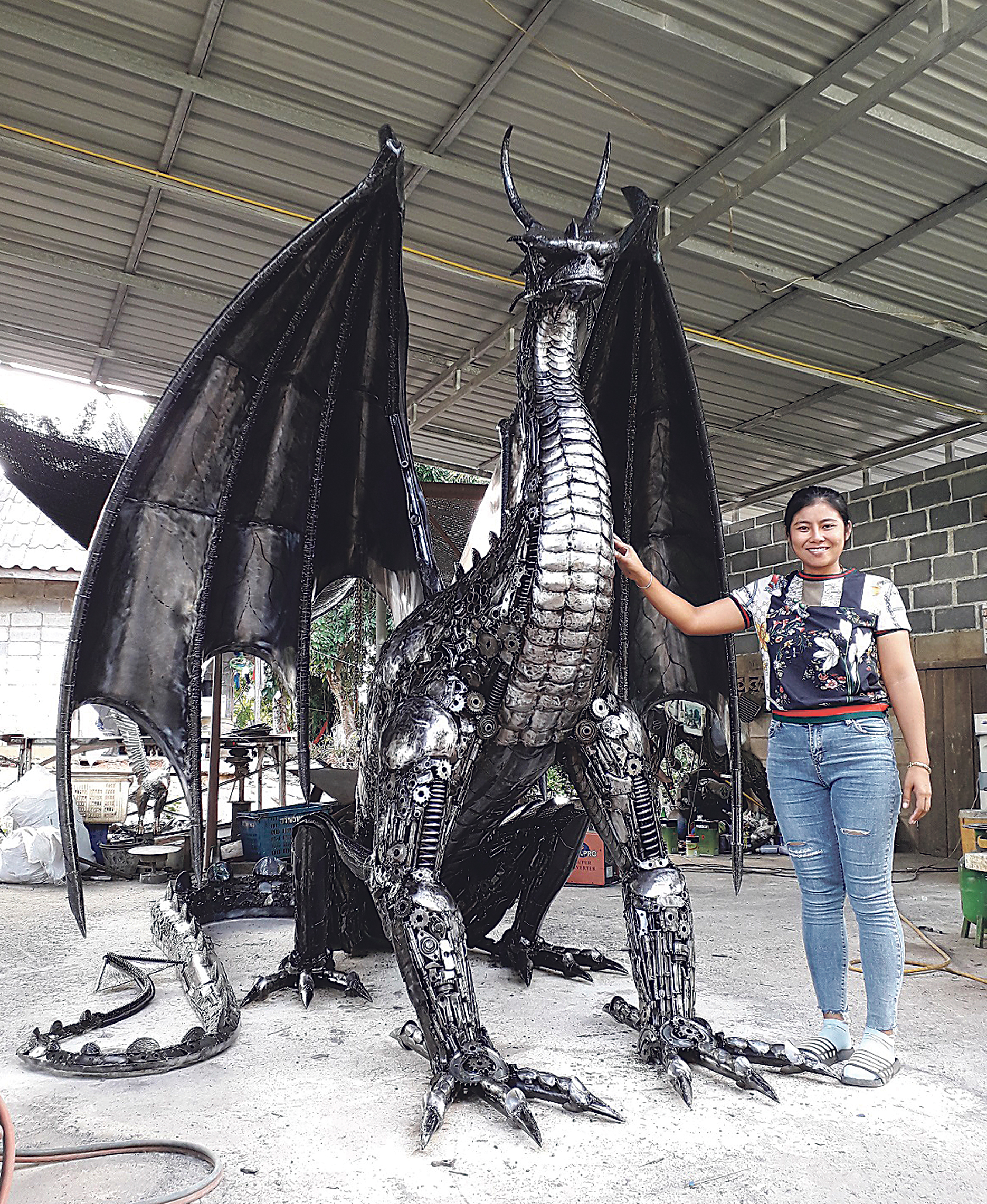 Warren’s Dragon | News, Sports, Jobs - Times Observer